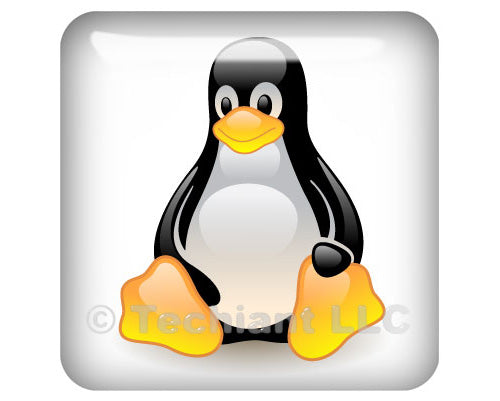 Linux Tux Penguin Crystalized White 1"x1" Chrome Effect Domed Case Bad ...
